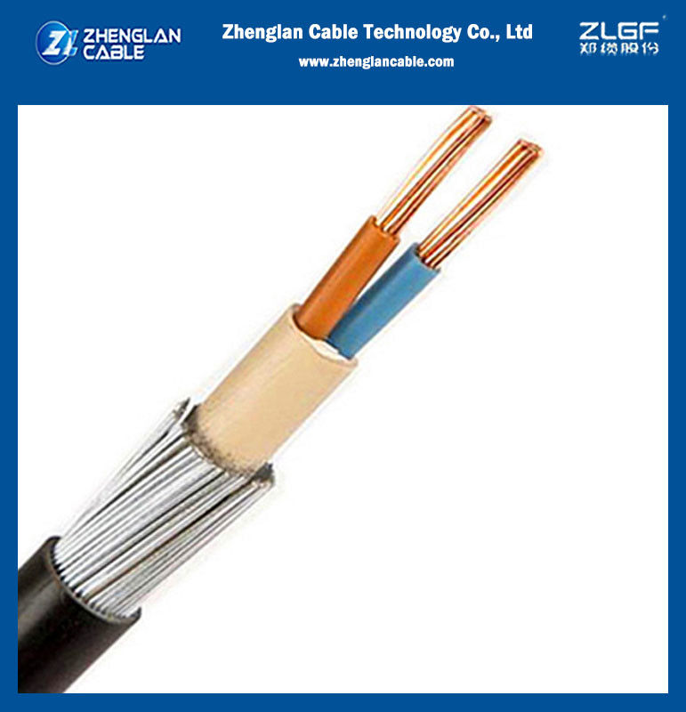 0.6/1kV 2 Cable blindado de núcleo de cobre BS5467 IEC/EN 60502-1, IEC ...